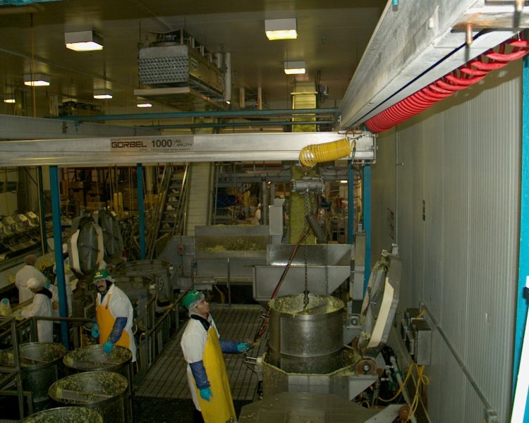 Food Grade Chain Hoist | Stainless Steel Overhead Lift System & Hoists